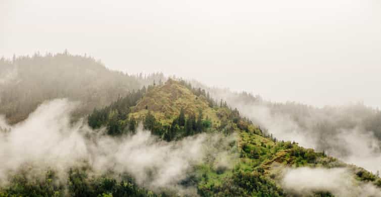 Dawn's Embrace: Sun Rise Trek at Lakshmi Hills, Munnar | GetYourGuide