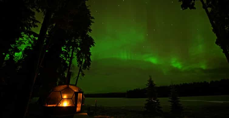 Rovaniemi: Romantic dinner in glass igloo | GetYourGuide