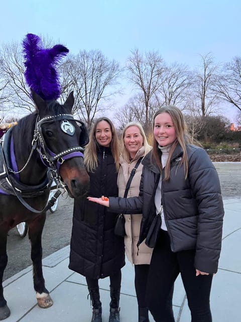 Royal Carriage Ride in Central Park NYC | GetYourGuide