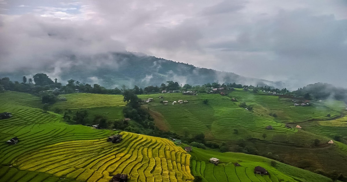 Chiang Mai : Terrazas de arroz de Pa Bong Piang y Doi Inthanon ...