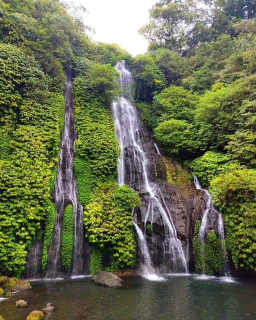 Best of Bali Waterfall, Ulundanu Bratan & Jatiluwih Tour | GetYourGuide