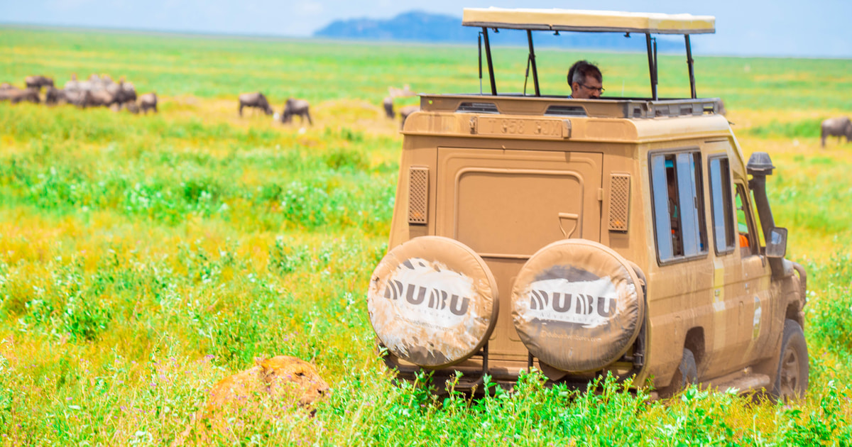 Tansania: 6-tägige Great Migration Safari | GetYourGuide