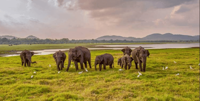 Pasikuda Escapade: A 5-Day Journey of Discovery and Relaxati | GetYourGuide