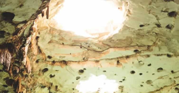 Merida: Ring of Cenotes Exploration Tour | GetYourGuide