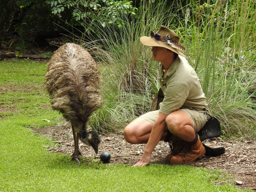 From Darwin: 1 Day Territory Wildlife Park Tour | GetYourGuide