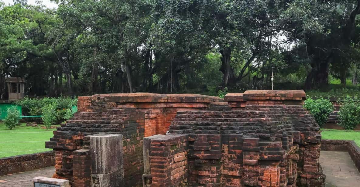 Day Trip to Konark (Guided Private Sightseeing Tour) | GetYourGuide