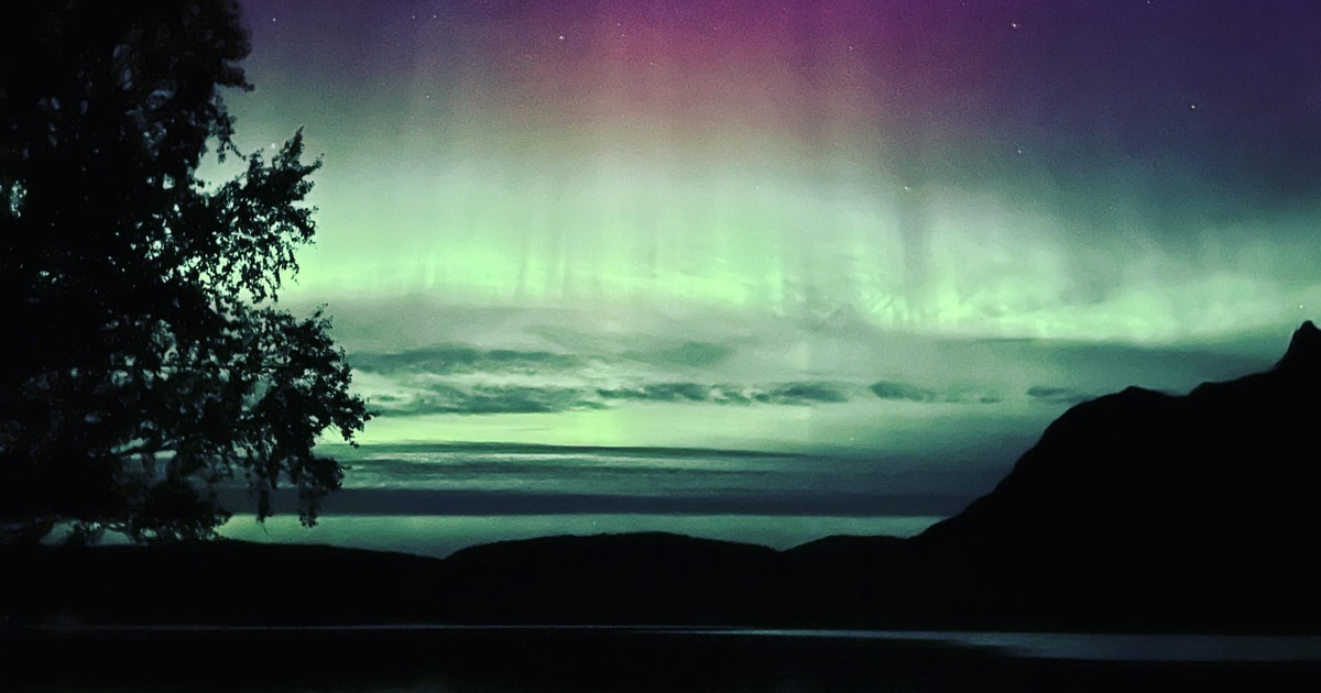 Harstad/Narvik: Northern Lights Tours with Second Day Chance | GetYourGuide