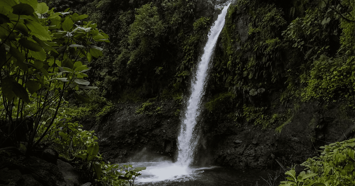 Tour del café Poás, cascada La Paz, Grecia y artesanía de Sarchí ...