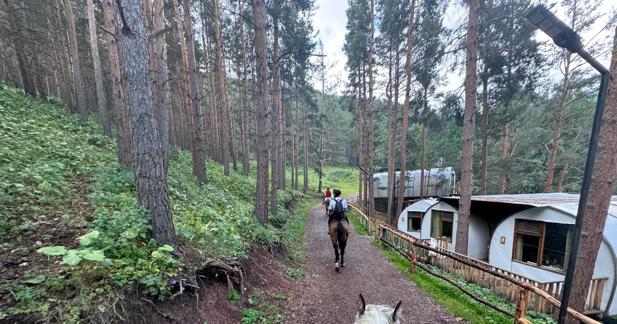 Ala Archa National Park & Chunkurchak Valley Day Tour | GetYourGuide