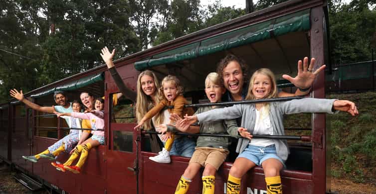 イェリング・ワイナリー、LVシャンドン・ワイナリー、パッフィング・ビリー・スチーム・トレイン | GetYourGuide