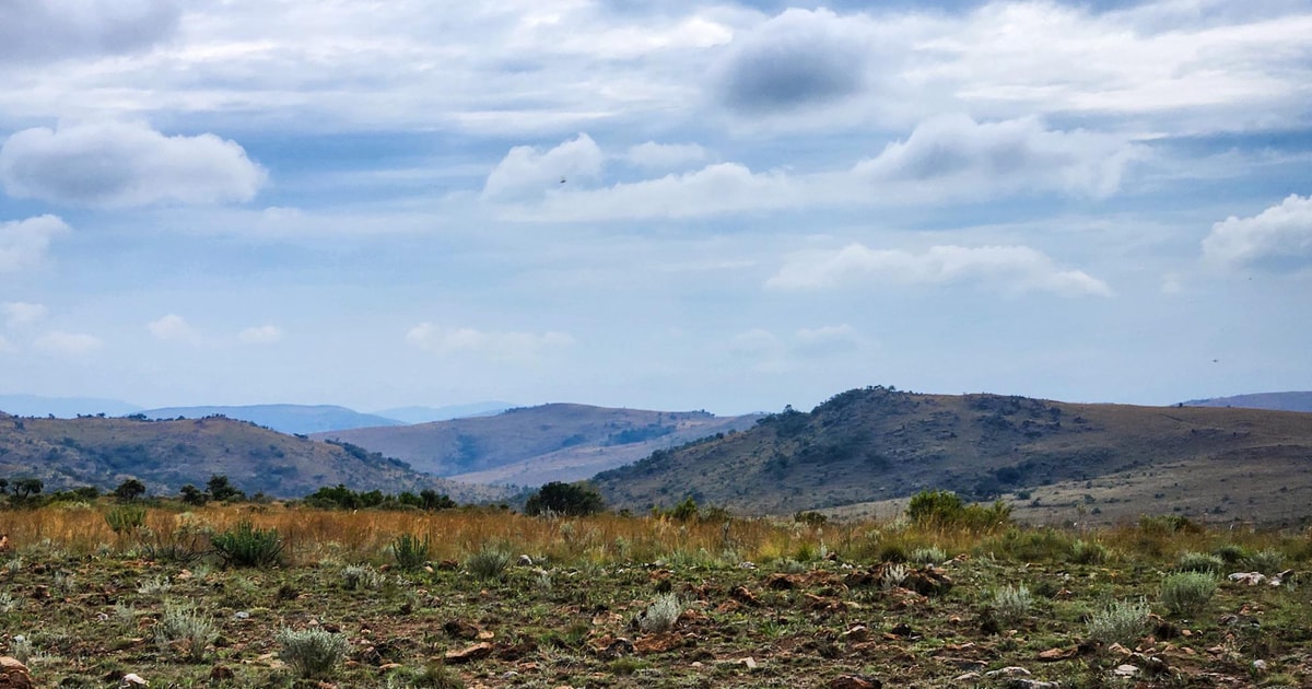 Johannesburg: Human Origins day tour and Malapa Museum | GetYourGuide