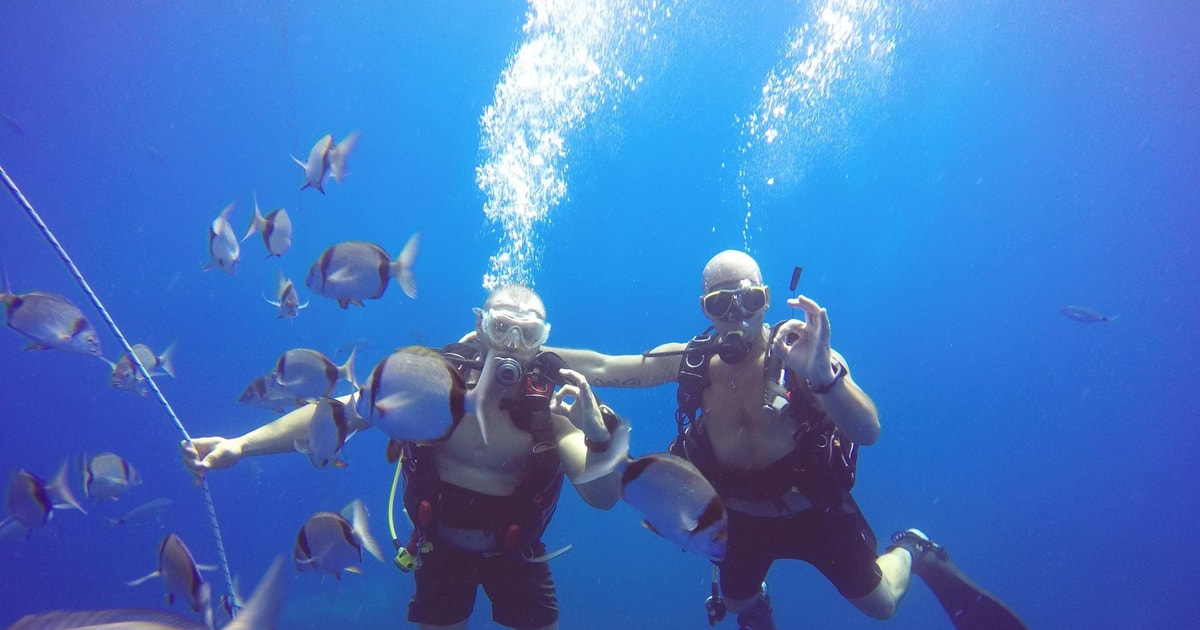 Larnaca: Privat Zenobia begynderdykkere | GetYourGuide