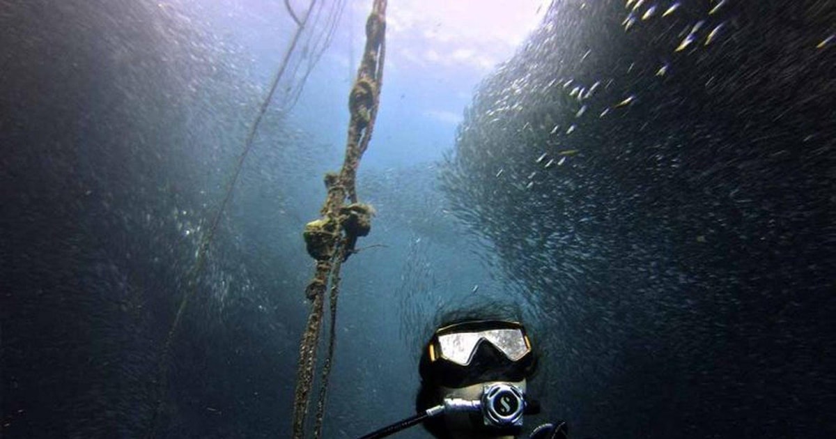 Cebu: Basdaku Beach Snorklaus ja rannan tutkiminen | GetYourGuide