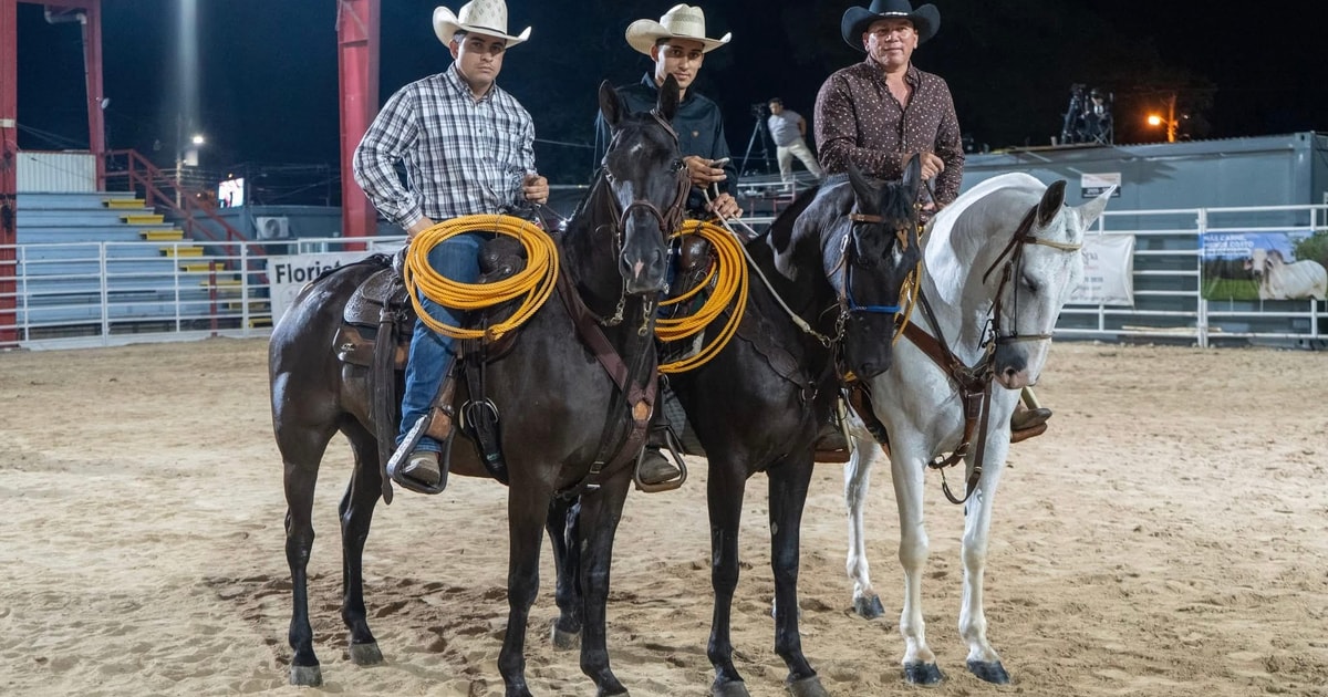 Guanacaste: Cowboy Culture & Fiesta Experience with a Guide | GetYourGuide