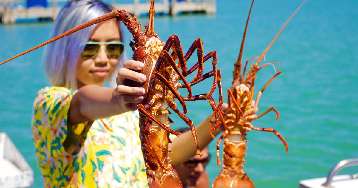 Kalbarri Crayfish Catch & Keep Tour | GetYourGuide