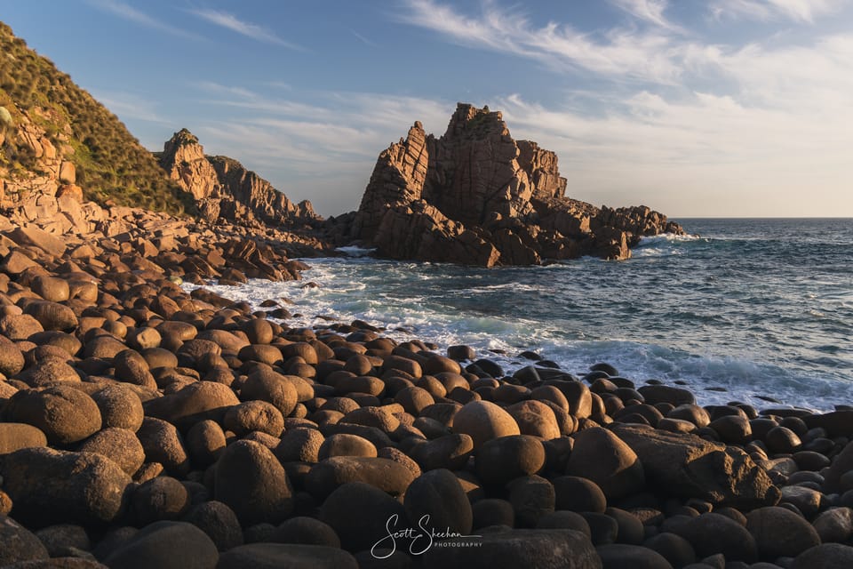 Phillip Island Small Group Afternoon Tour | GetYourGuide