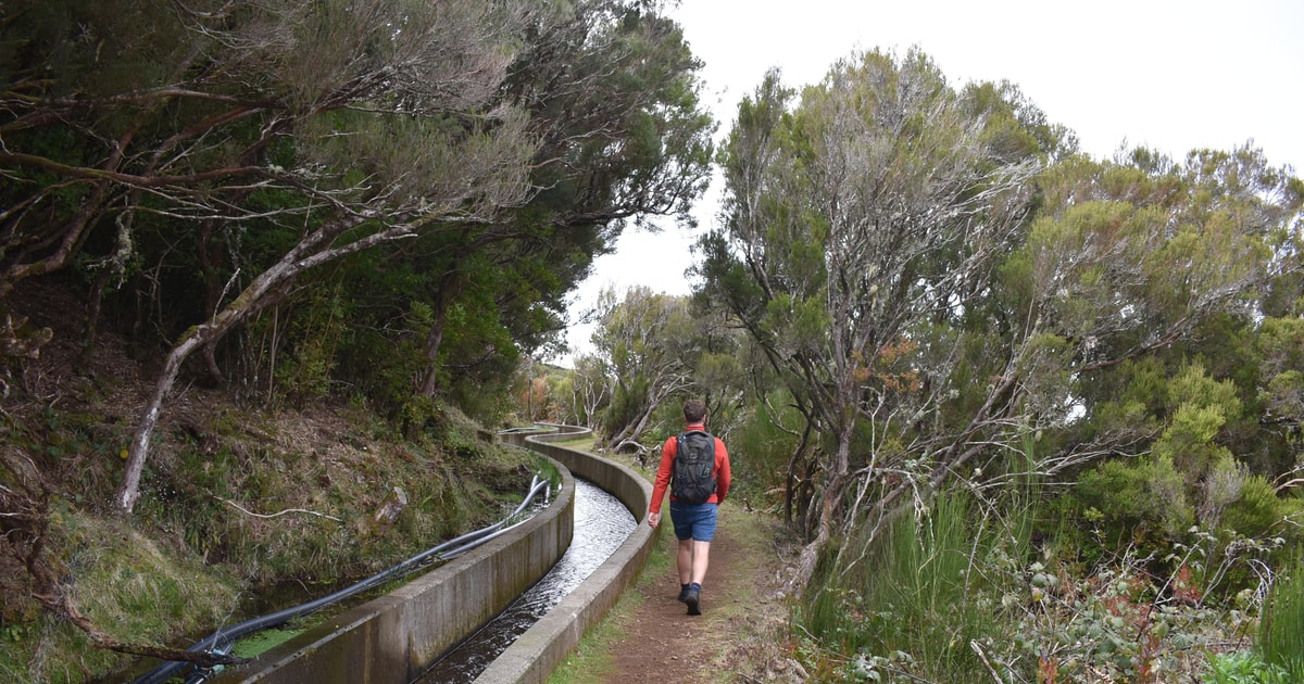 Funchal: Full Day 4x4, Fanal Mystic Forest and Levada walk | GetYourGuide