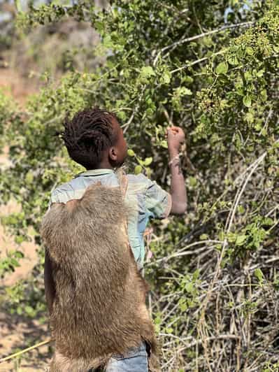 Hadzabe tripe visiting with lunch and drinks | GetYourGuide