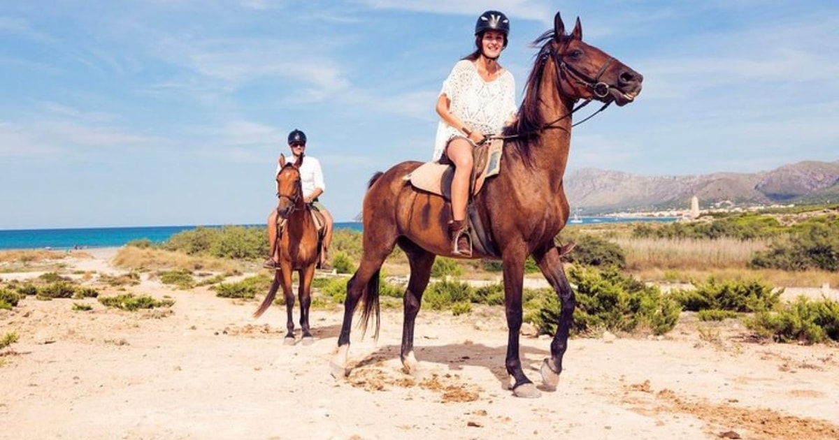 Paros: Morning Island Horseback Riding Adventure | GetYourGuide