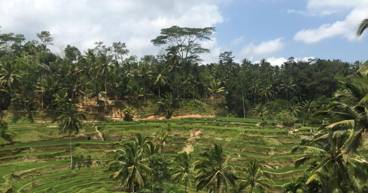 Full Day Tour To Explore Ubud with Private Car | GetYourGuide