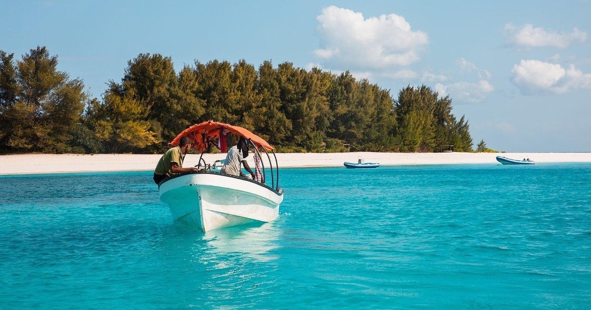 Eco Snorkel Mnemba—Dolphins,Sustainable Reef & Starfish tour | GetYourGuide