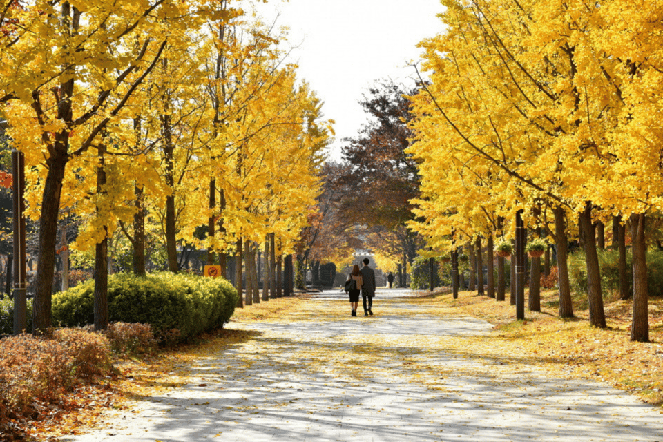 Seongsu-dong Stroll: The Brooklyn Of Seoul | GetYourGuide