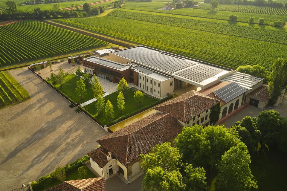 Veneto: Vineyard Tour with Wine Tasting | GetYourGuide