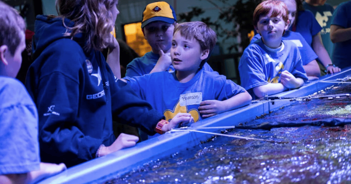 Atlanta: Georgia Aquarium Behind the Seas Tour | GetYourGuide
