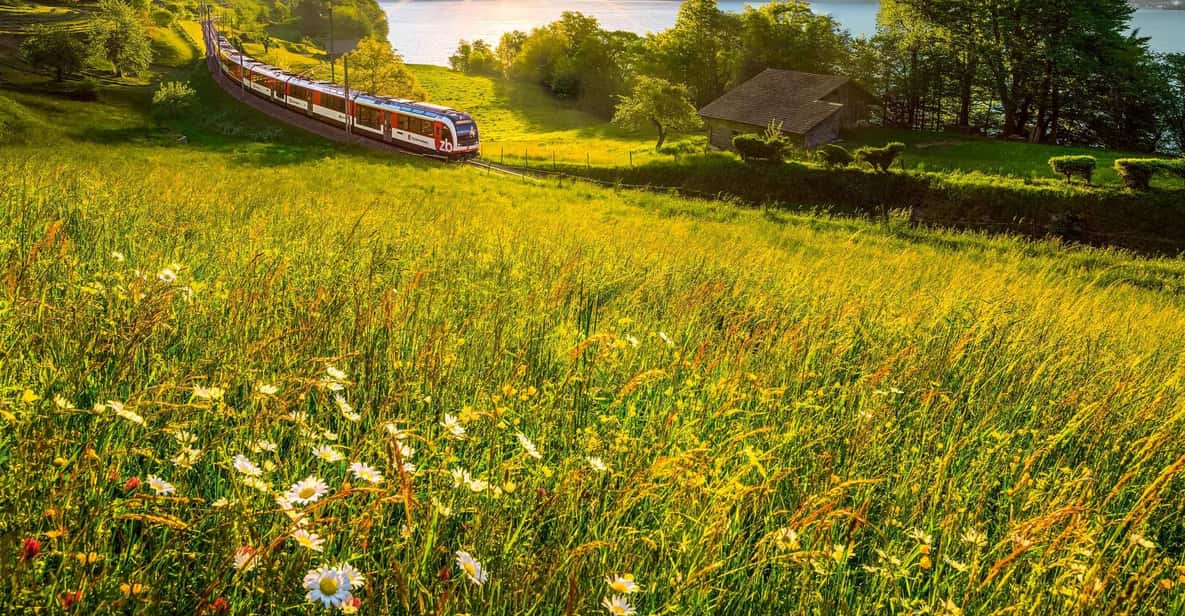 Lucerne–Interlaken Express: One-Way Train Ticket | GetYourGuide