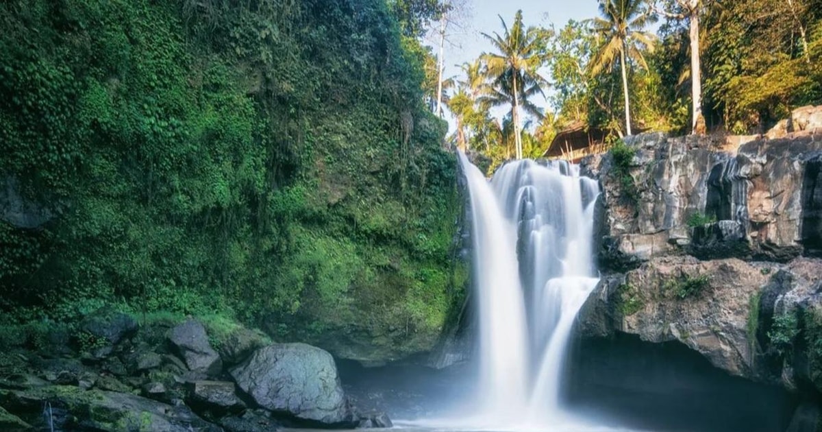 Wodospad i huśtawka w Ubud | GetYourGuide