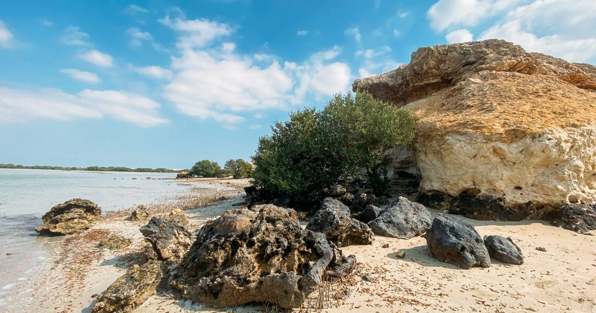 Excursión al Norte de Qatar, Aldea de Jumail, Fuerte de Al Zubara ...