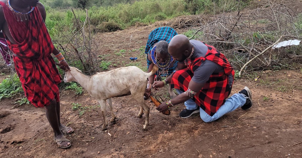 Masai Village Experience (Tagestour) | GetYourGuide