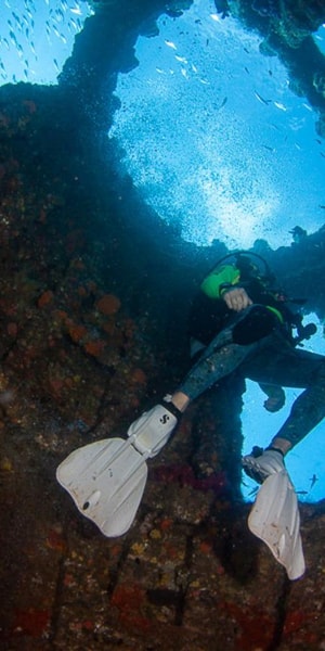 Sunshine Coast: Scuba Dive the Ex-HMAS Brisbane Ship Wreck | GetYourGuide