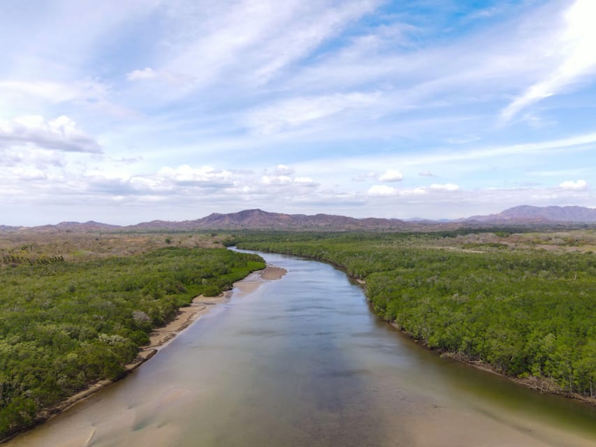 Tamarindo Estuary: Howler Monkey Mangrove Kayaking Tour | GetYourGuide