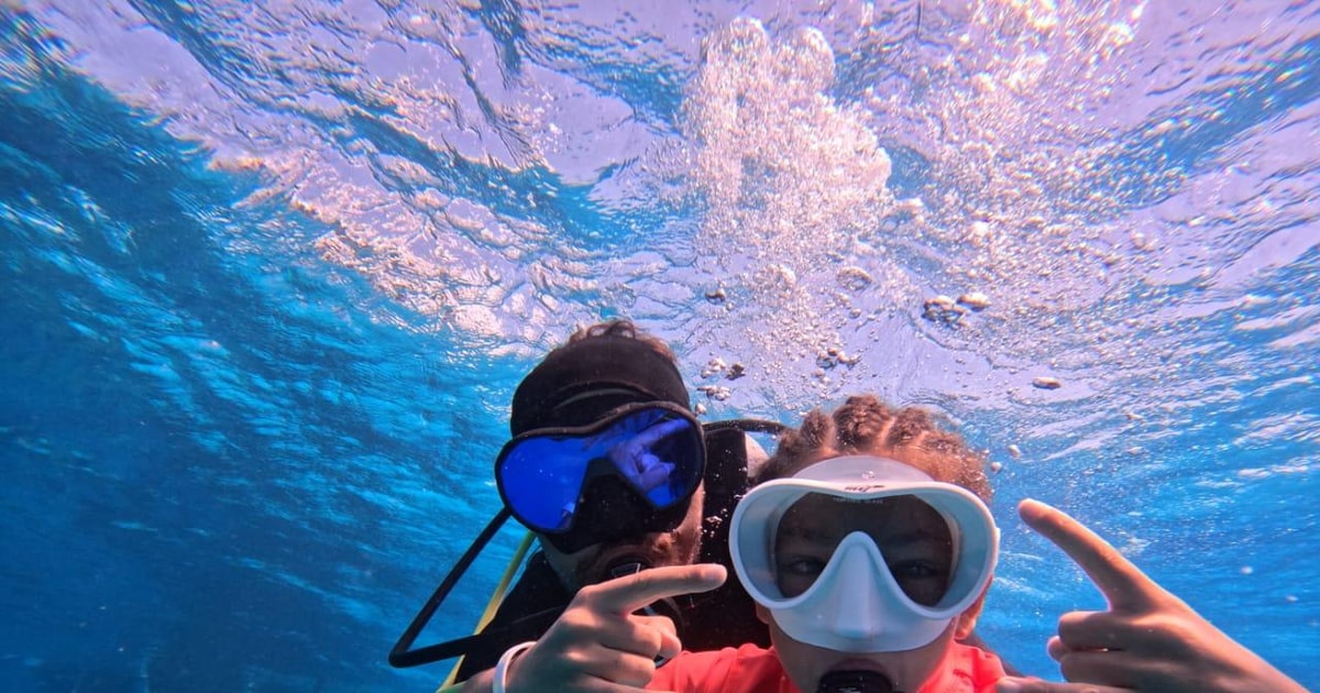 Intro Buceo Principiante y Descubrir el Mar Rojo Bajo el Agua ...
