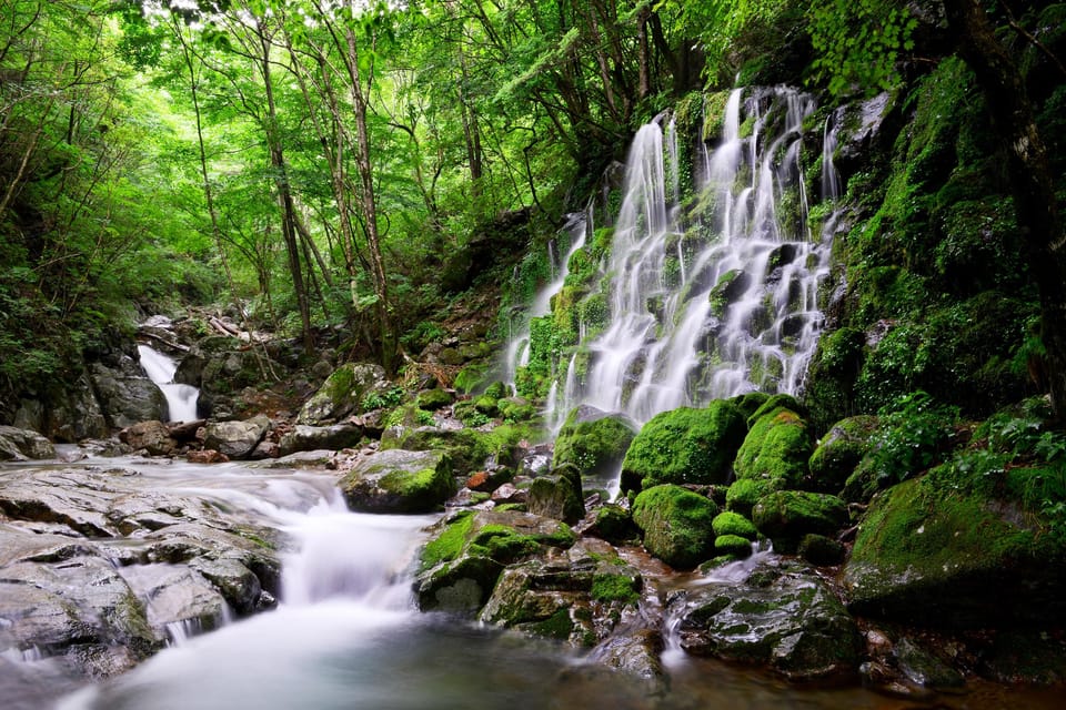 2 Days: Jeolla-do, Nonsan & Jeonju - Mt. Jirisan | GetYourGuide