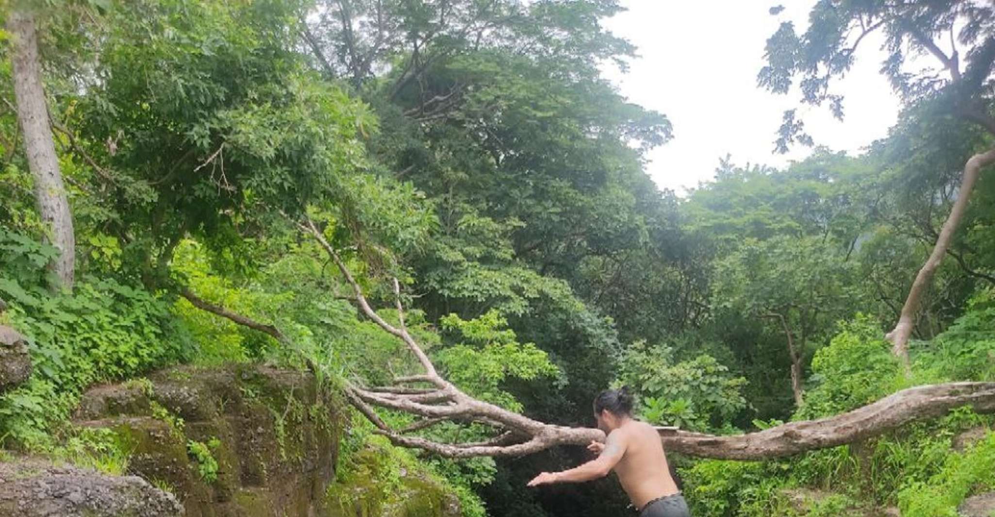 Tamanique waterfalls and Walter Thilo Deininger Park. | Water Activity ...