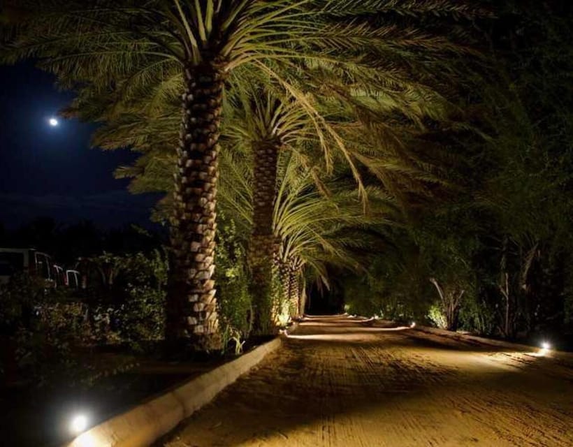 GLAMPING IN ALULA - 2 NIGHT PACKAGE | GetYourGuide