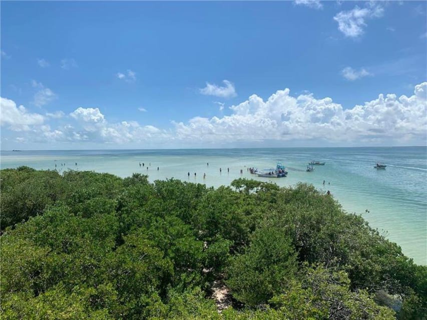 Chiquilá: Holbox Island and Isla Pasión Day Trip | GetYourGuide