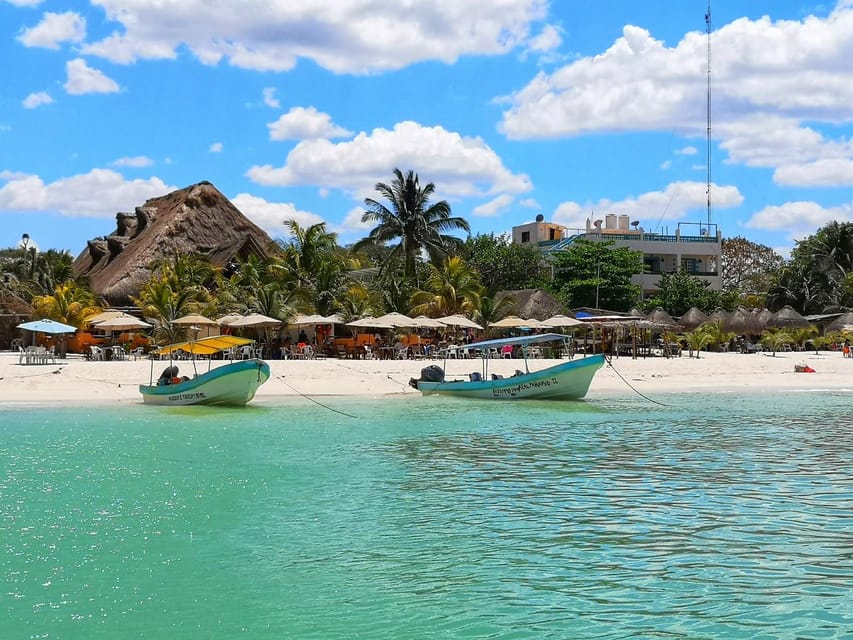 Merida: Celestun Beach and Mangrove Boat Ride Day Trip | GetYourGuide