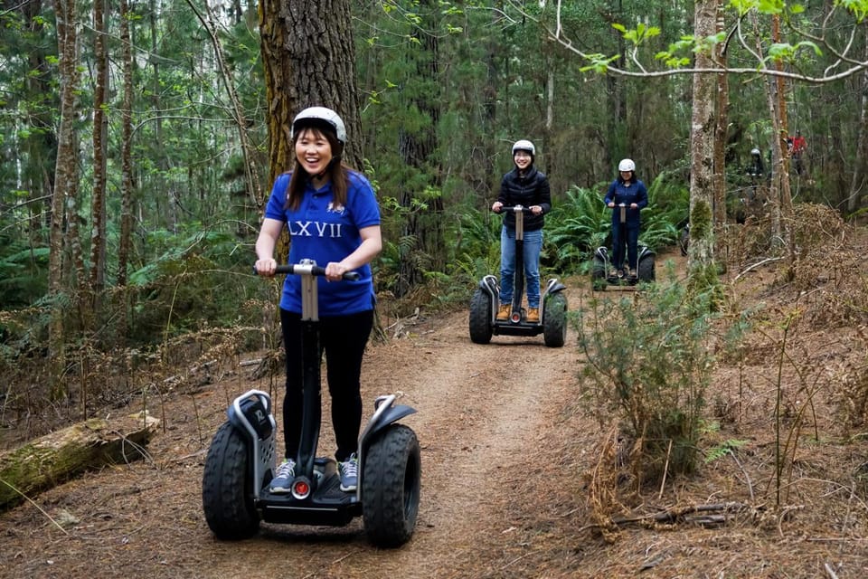 Launceston: Hollybank Forest Guided Segway Tour | GetYourGuide
