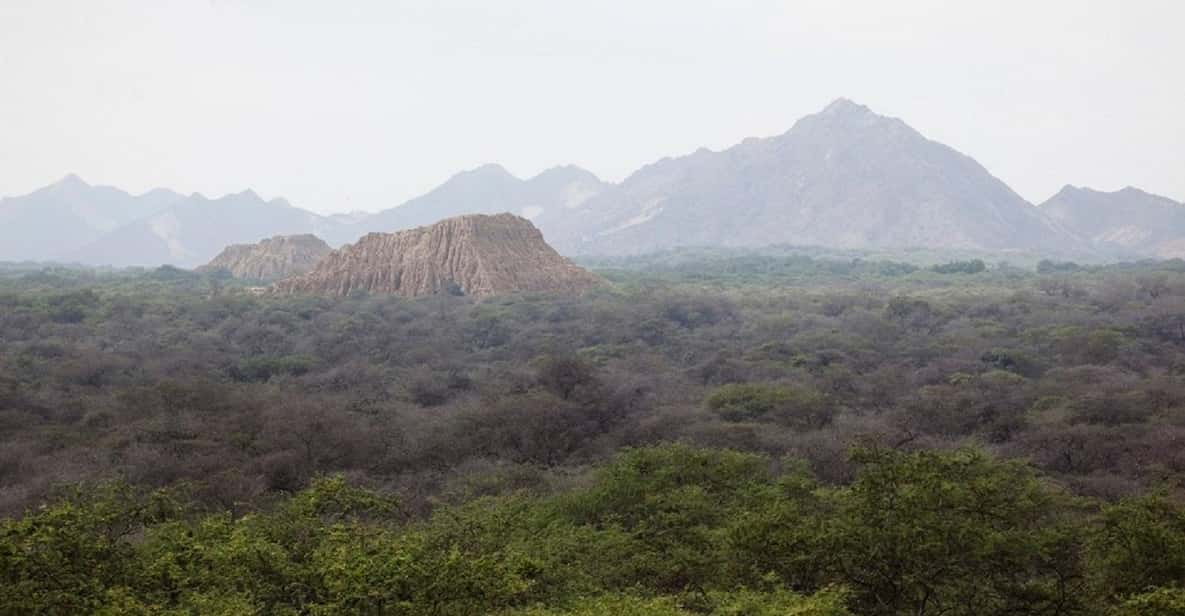 Chiclayo: Pomac Forest Historic Sanctuary & Sican Museum | GetYourGuide