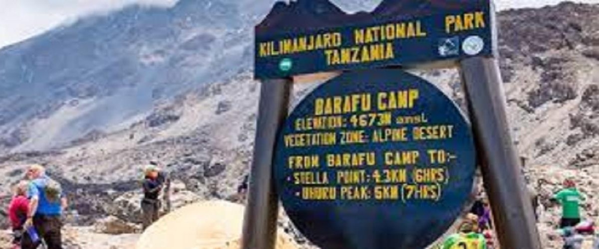 7 HARI RUTE PENDAKIAN GUNUNG KILIMANJARO MACHAME | GetYourGuide