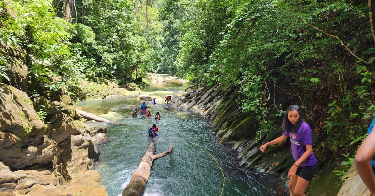 Trinidad: Aripo-Wasserfall-Wanderung mit Badeerlebnis | GetYourGuide