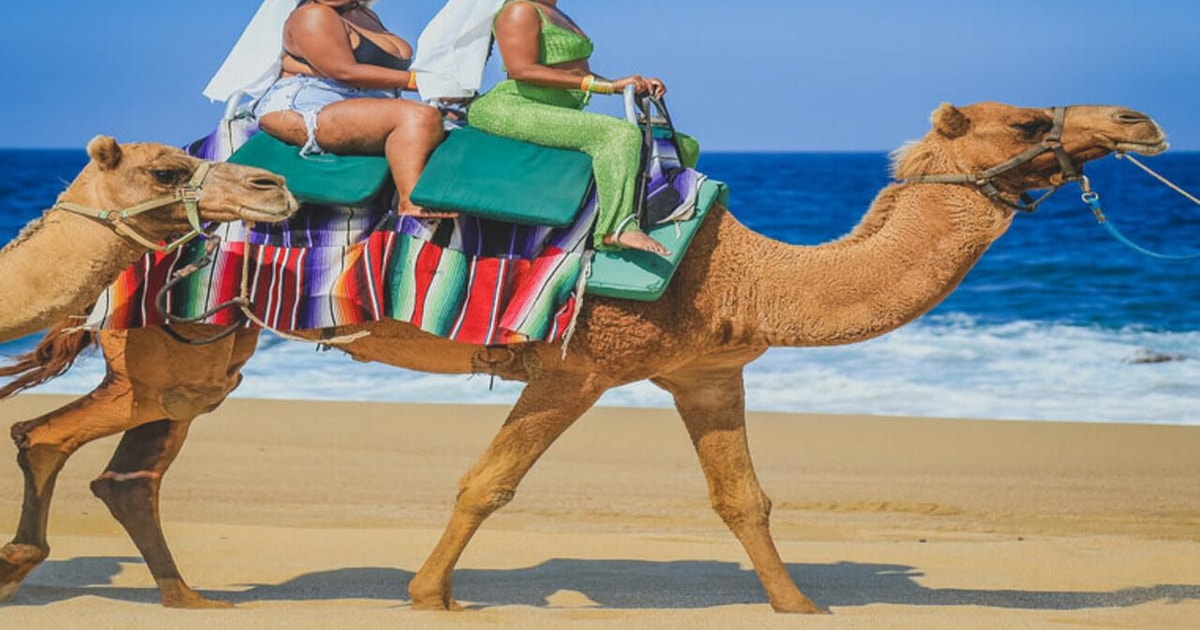 Agadir/Taghazout : Quad Bike Taghazout & Kamelritt bei Sonnenuntergang ...