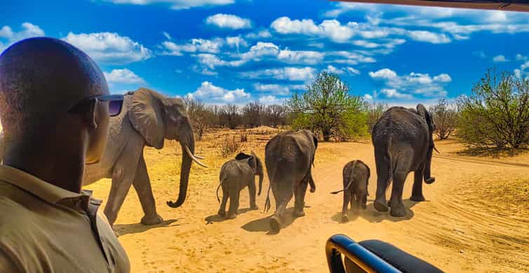 Victoria Falls: Game Drive | GetYourGuide