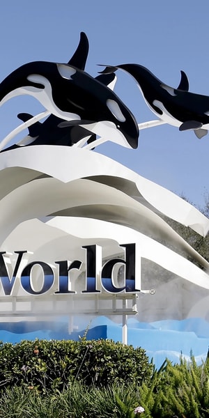 Orlando: SeaWorld Shuttle Service | GetYourGuide