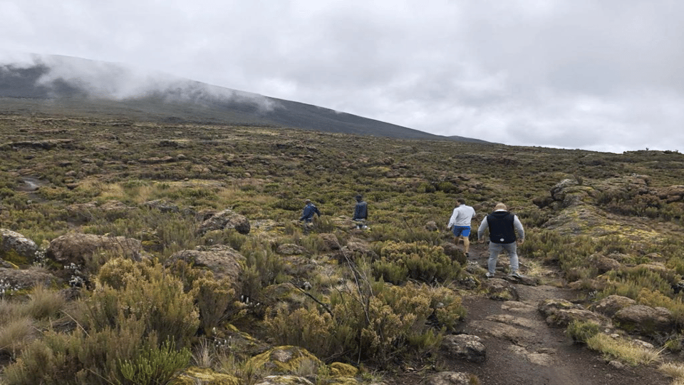Kilmanjaro Machame route | GetYourGuide