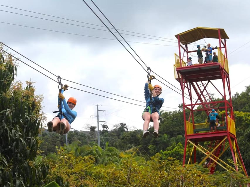 Río Grande: Esperienza di zipline nella foresta pluviale | GetYourGuide