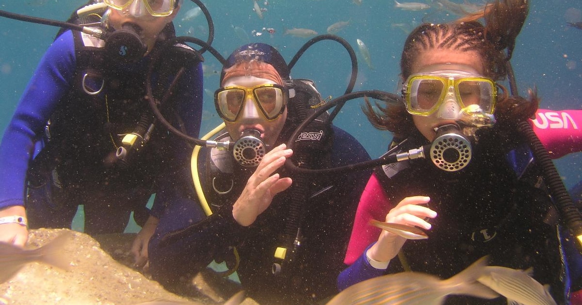 Bodrum diving day for advanced and beginner divers | GetYourGuide